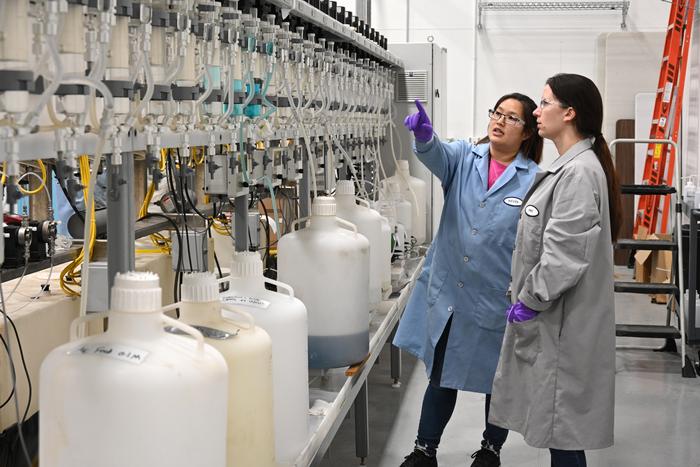 Athena [IMAGE] | EurekAlert! Science News Releases