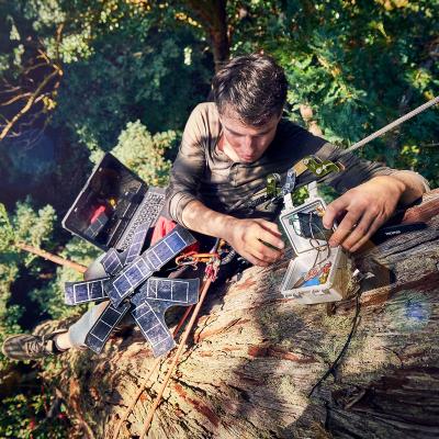 Installing a Bioacoustic Recor [IMAGE] | EurekAlert! Science News Releases