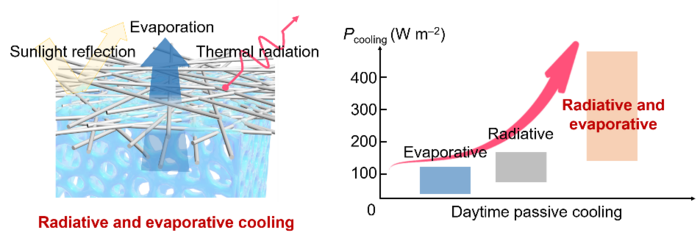 Evaporative Cooling Sweat