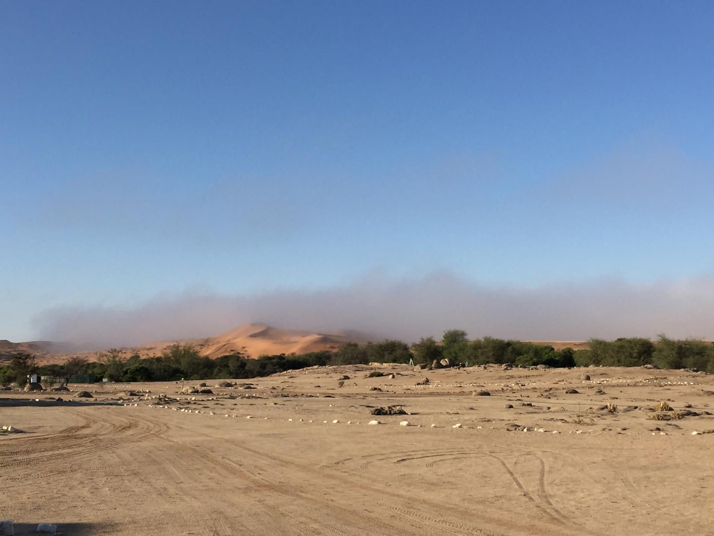 Clearing the Fog around Non-ra [IMAGE] | EurekAlert! Science News Releases