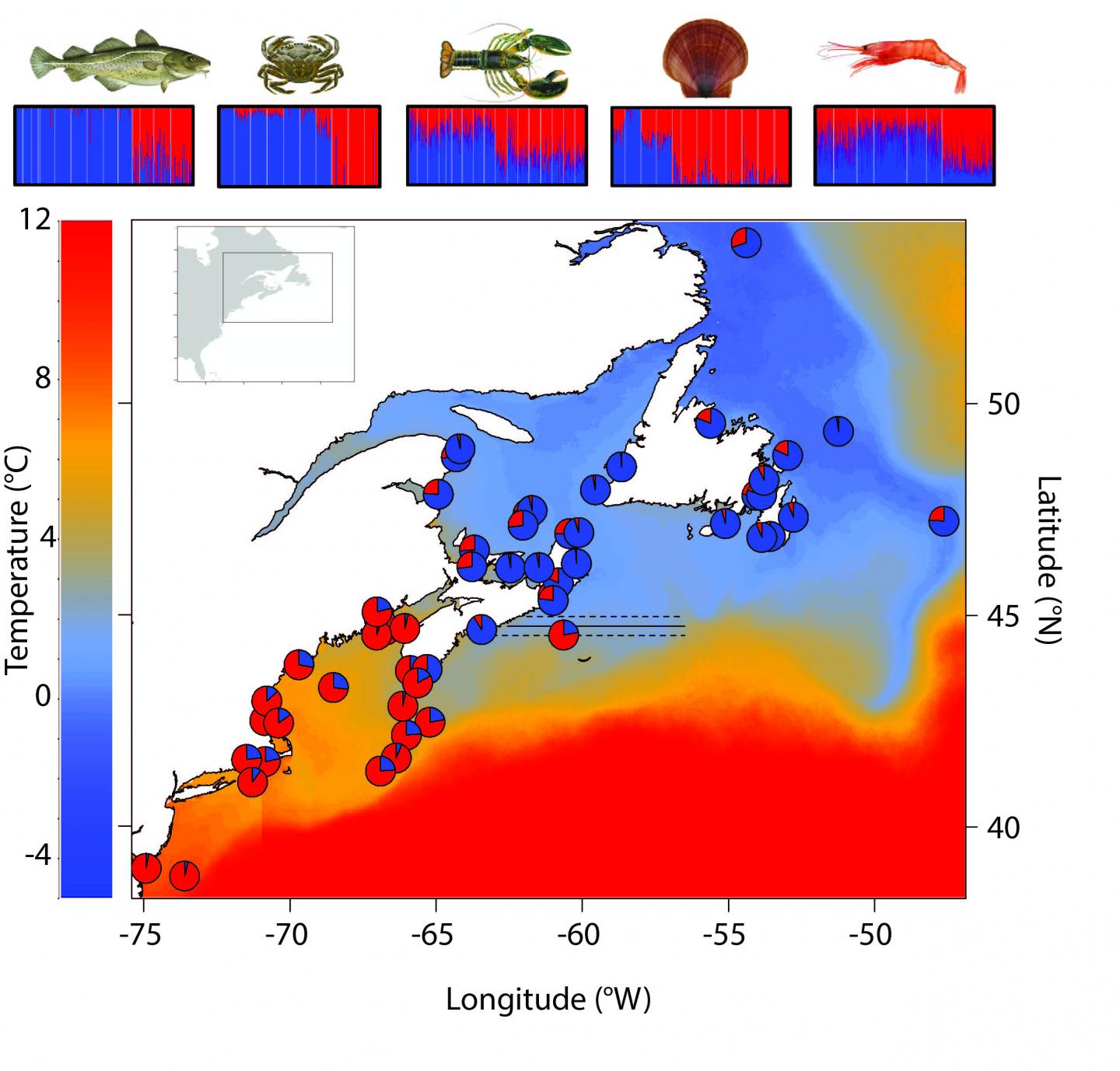 Investigating the Impact of Climate on Marine | EurekAlert!