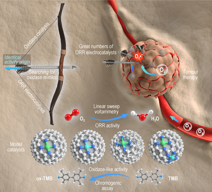 Schematic diagram of the bridg [IMAGE] | EurekAlert! Science News Releases