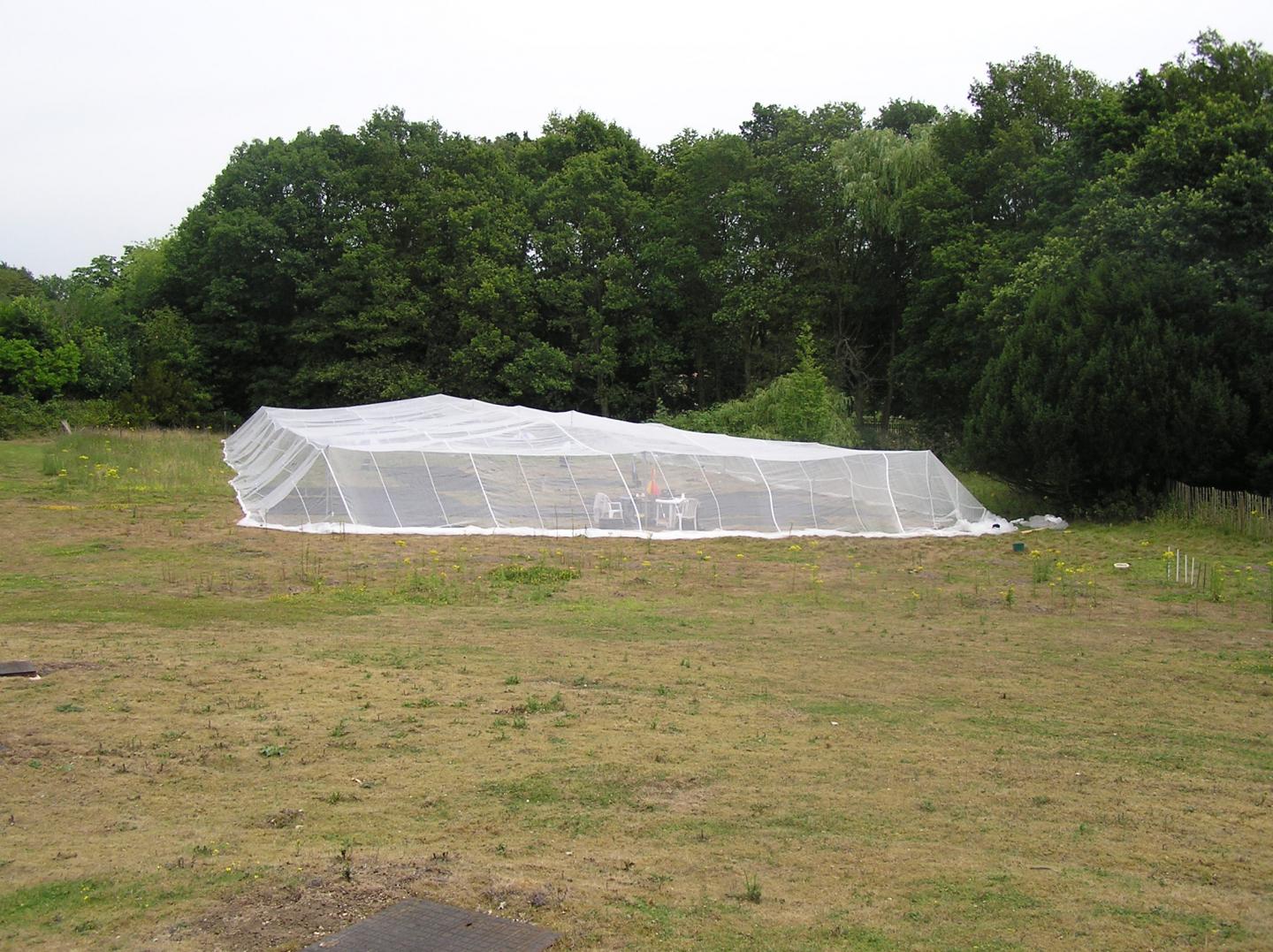 Flight Arena, External View [IMAGE] | EurekAlert! Science News Releases