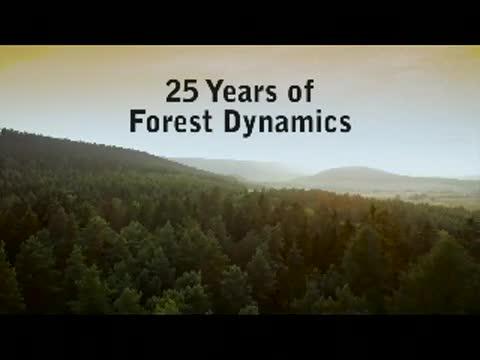North American Forest Dynamics Dataset | EurekAlert!