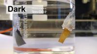 Water-Splitting System Provides New Spark for | EurekAlert!