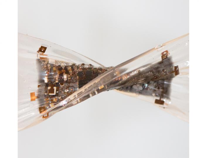 Stretchable, Flexible Electron [IMAGE] | EurekAlert! Science News Releases