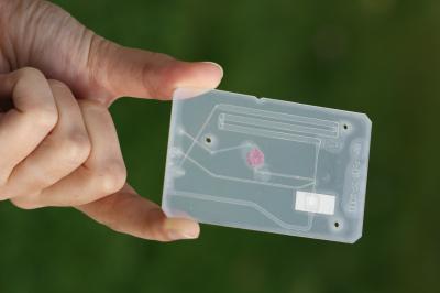 Malaria Card [IMAGE] | EurekAlert! Science News Releases