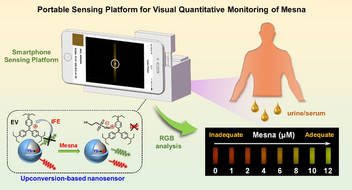 Upconversion-based nanosensor developed for c | EurekAlert!