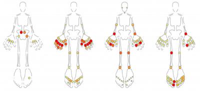 Examples of Distinct Patterns [IMAGE] | EurekAlert! Science News Releases