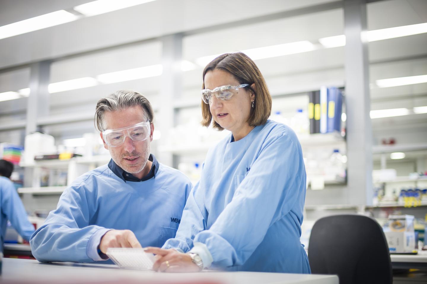 Dr. Axel Kallies and Dr. Diana [IMAGE] | EurekAlert! Science News Releases