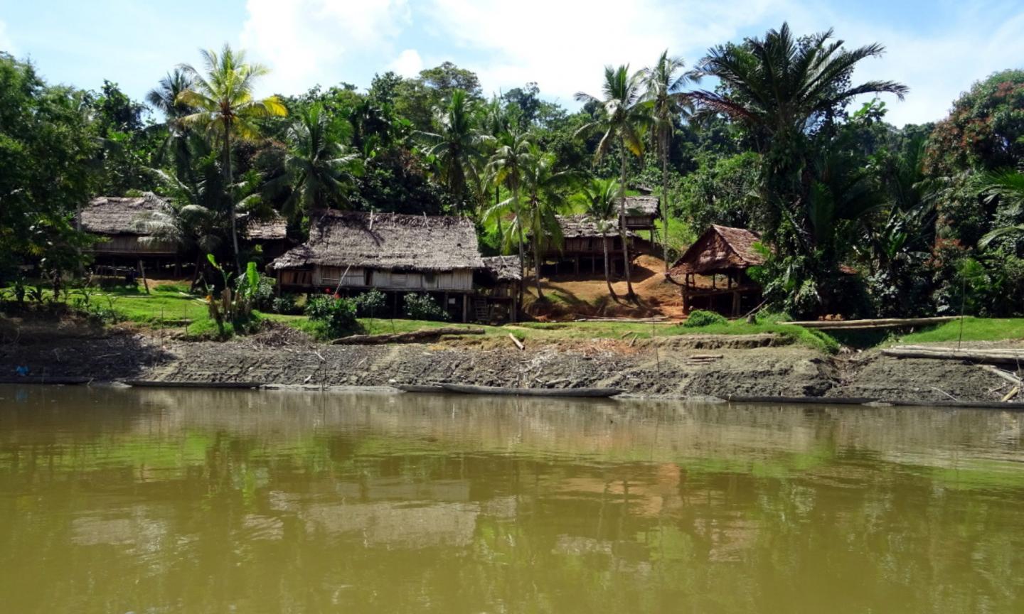 Papua New Guineans show signs of biological a | EurekAlert!