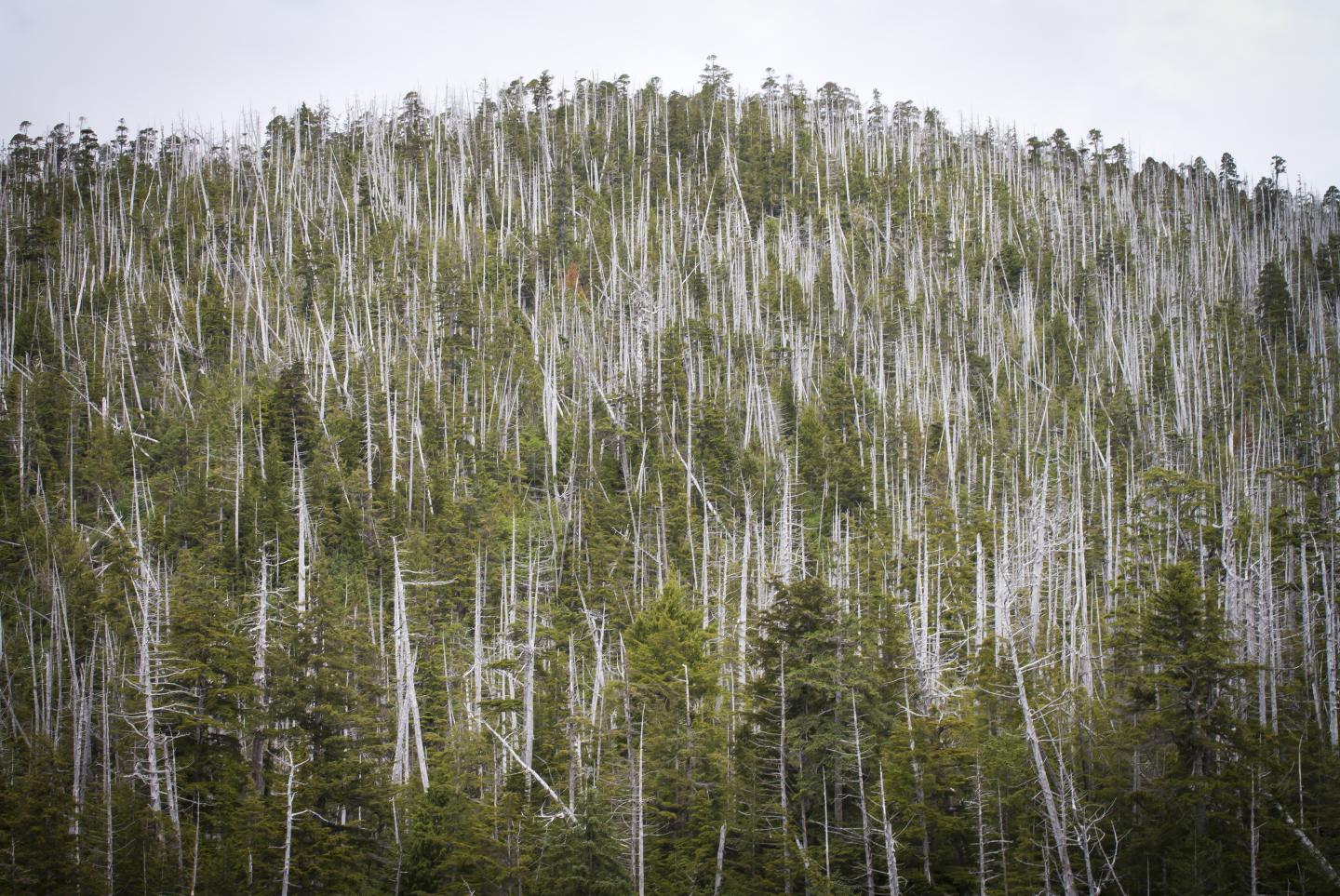 Climate change requires new conservation mode | EurekAlert!