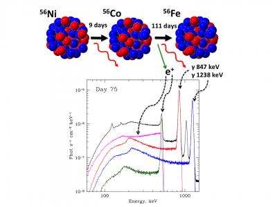 A Radioactive Decay Chain and [IMAGE] | EurekAlert! Science News Releases