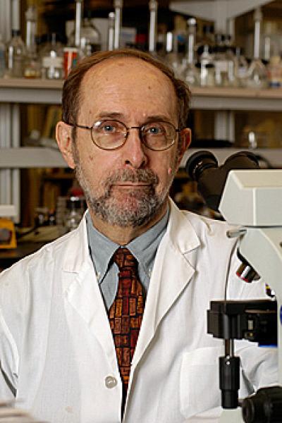 Theodore Friedmann, M.D., Univ [IMAGE] | EurekAlert! Science News Releases