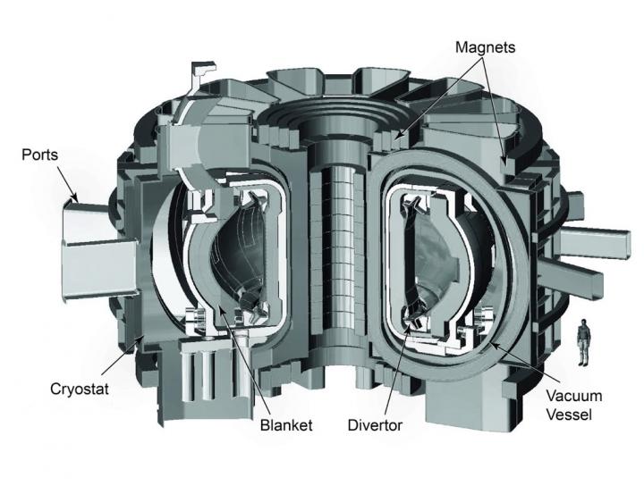 Drawing of a Tokamak Fusion Pi [IMAGE] | EurekAlert! Science News Releases