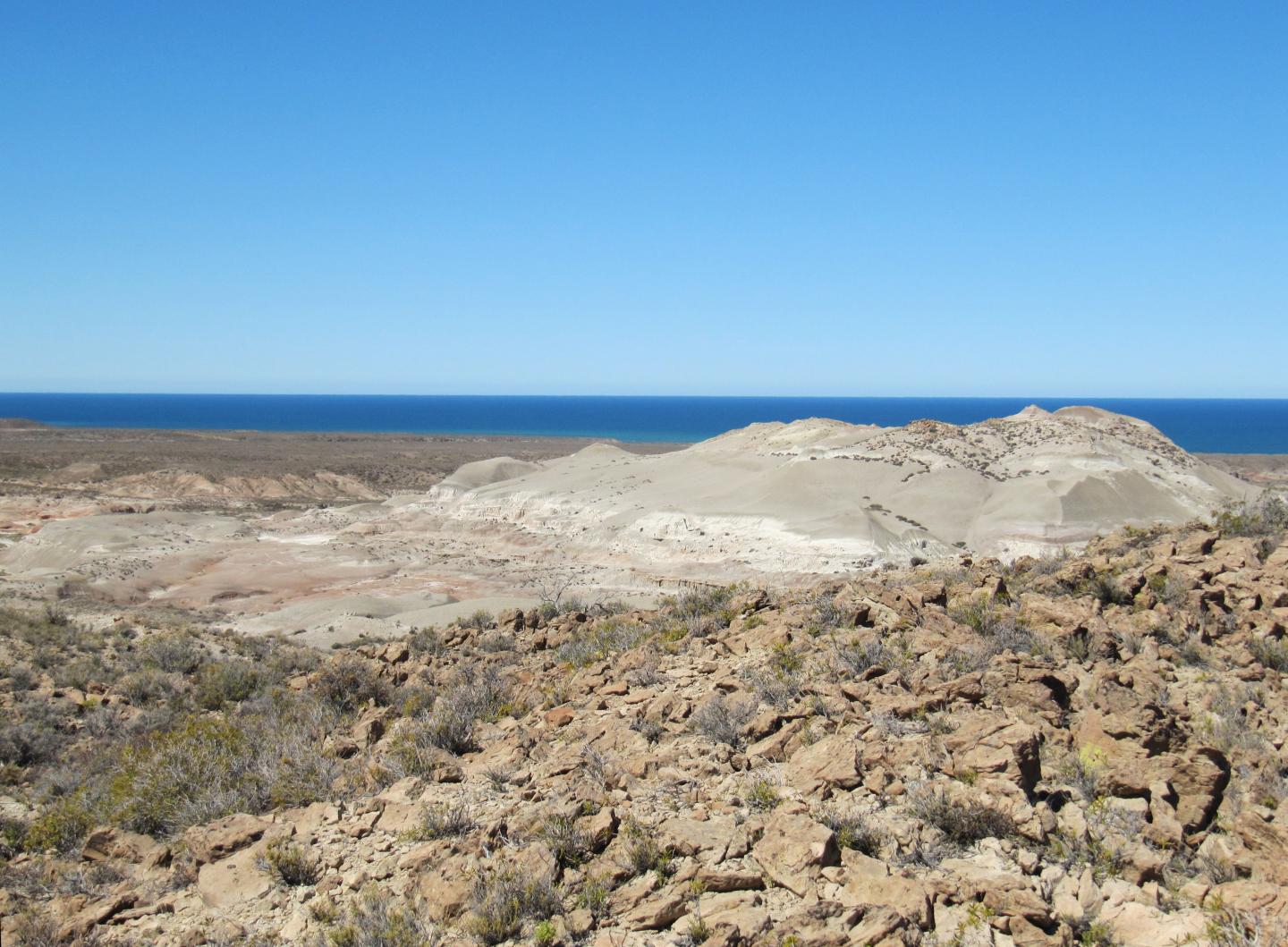 New Vegetation Record Syncs With Cenozoic Cli | EurekAlert!