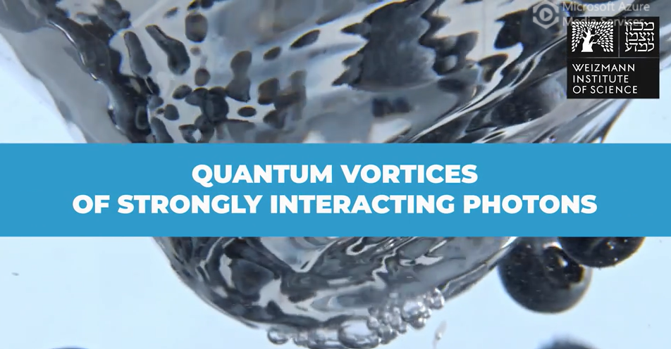 Quantum vortices of strongly interacting phot | EurekAlert!