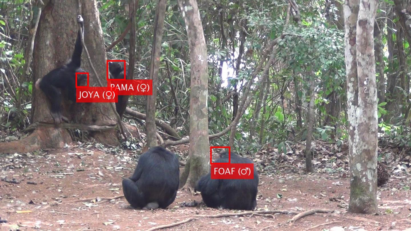 Deep Learning Tool Uses Large [IMAGE] | EurekAlert! Science News Releases