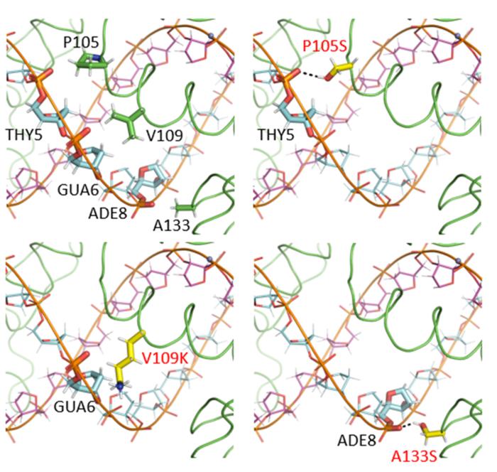 Zinc Finger Nucleases [IMAGE] | EurekAlert! Science News Releases