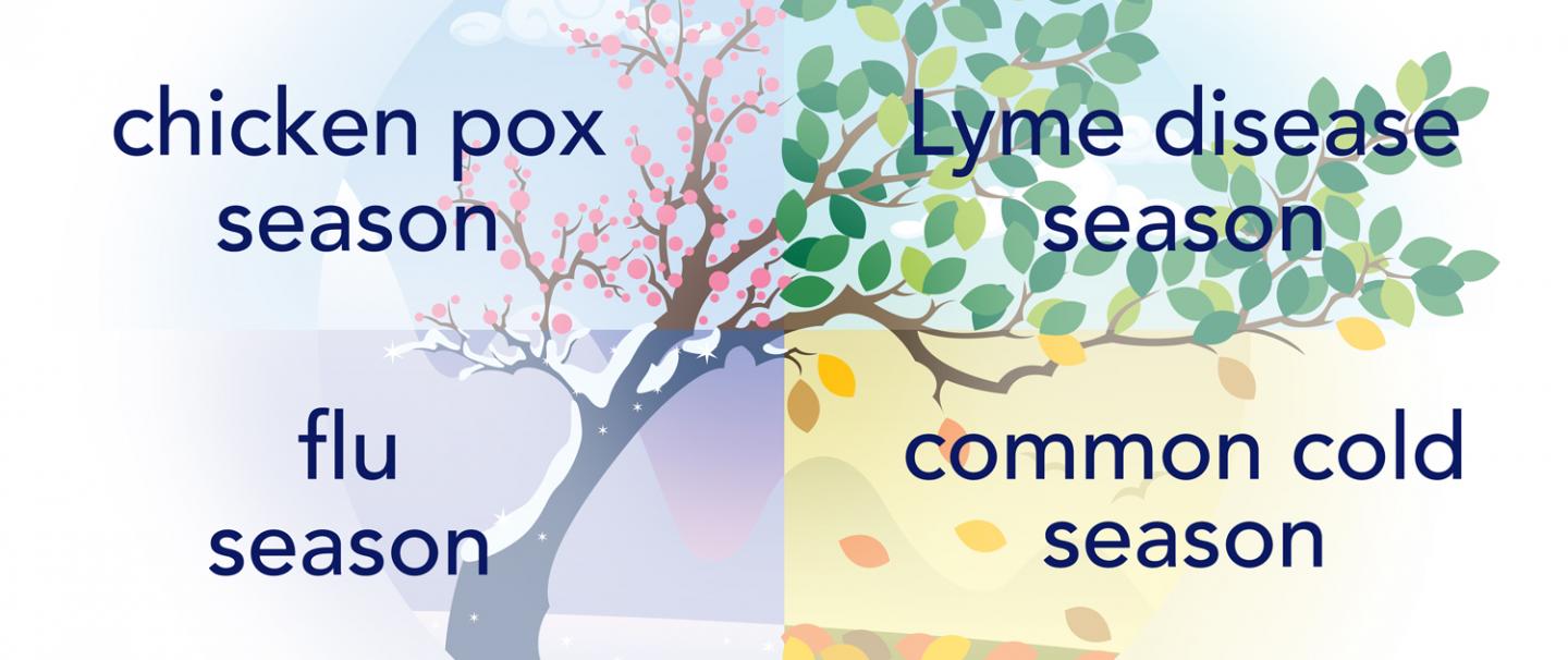 Mark your calendar: All infectious diseases a | EurekAlert!