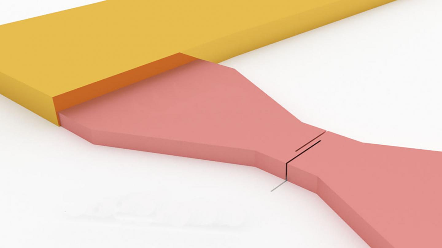 Microbridge [IMAGE] | EurekAlert! Science News Releases