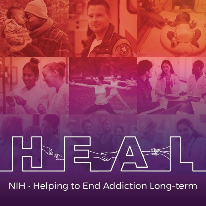 NIH HEAL Initiative [IMAGE] | EurekAlert! Science News Releases