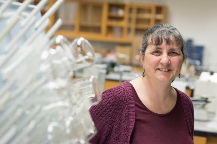 RIT Associate Professor Suzann [IMAGE] | EurekAlert! Science News Releases