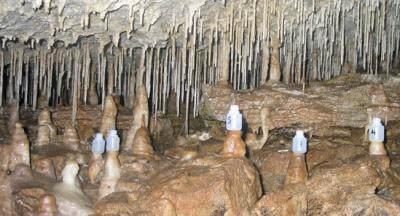 Probing Europe's Medieval Warm [IMAGE] | EurekAlert! Science News Releases