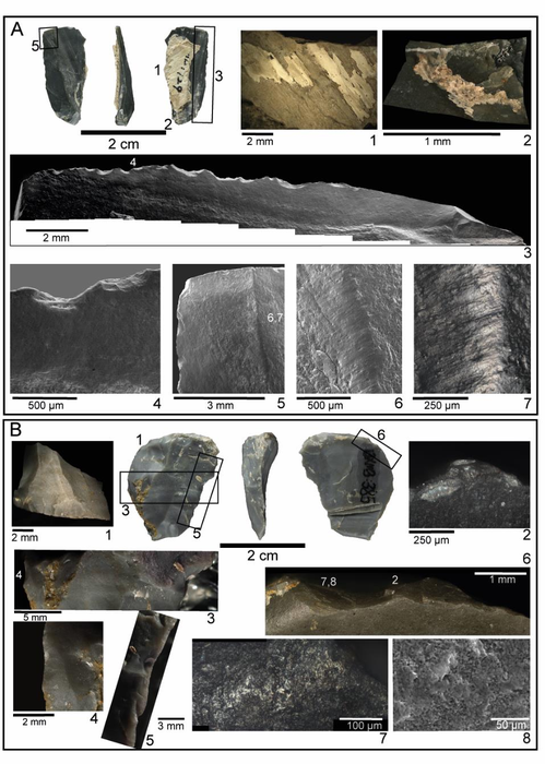 Examples of use wear on lithic [IMAGE] | EurekAlert! Science News Releases