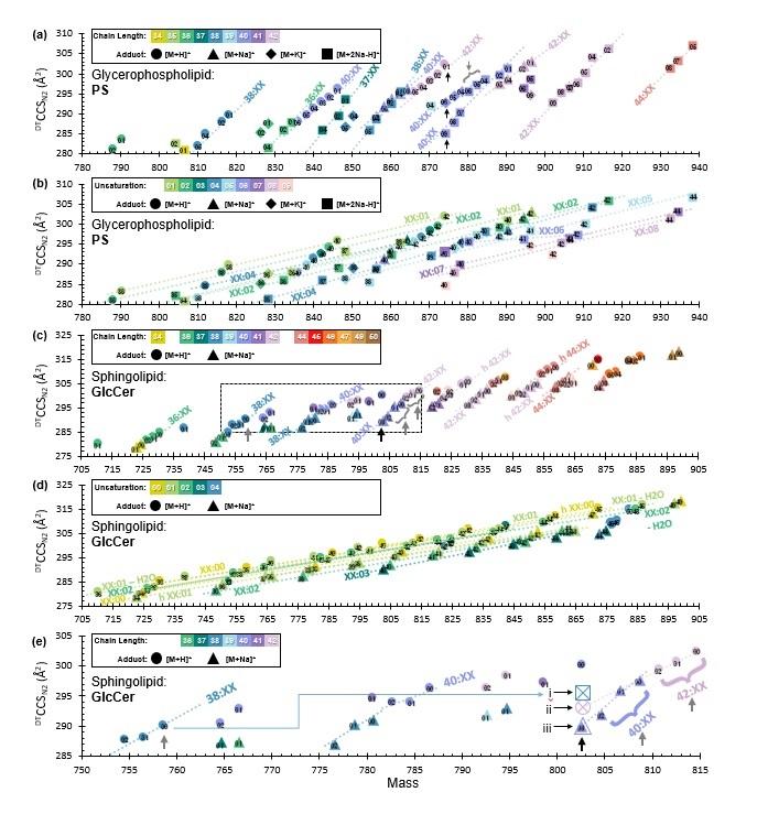 New lipid shape atlas holds key to early dise | EurekAlert!