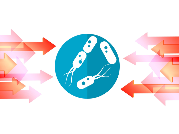 How bacteria cope with stress | EurekAlert!