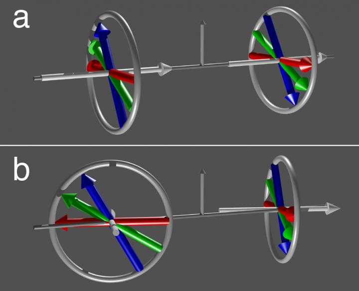 [IMAGE] | EurekAlert! Science News Releases