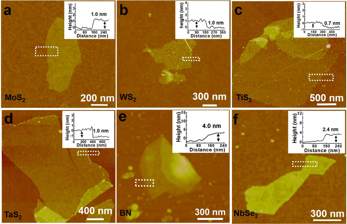 Exfoliated nanosheets [IMAGE] | EurekAlert! Science News Releases