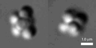 Colloidal Clusters with 6 Part [IMAGE] | EurekAlert! Science News Releases