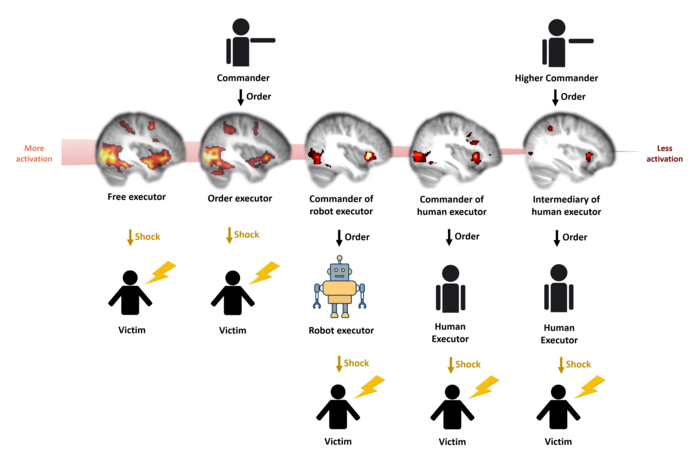 Activation of empathy related [IMAGE] | EurekAlert! Science News Releases