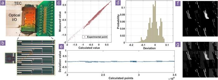 FIG 3 [IMAGE] | EurekAlert! Science News Releases