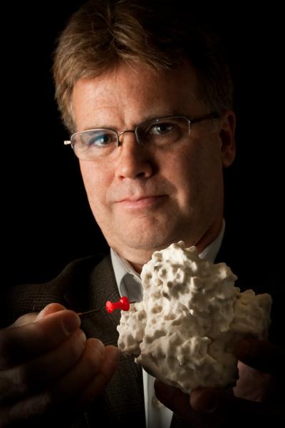 Discovery of enzyme activation process could | EurekAlert!