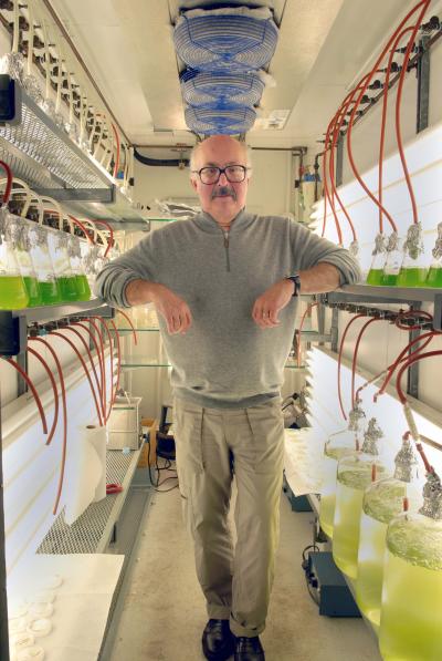 Joel Rosenbaum, Yale Universit [IMAGE] | EurekAlert! Science News Releases