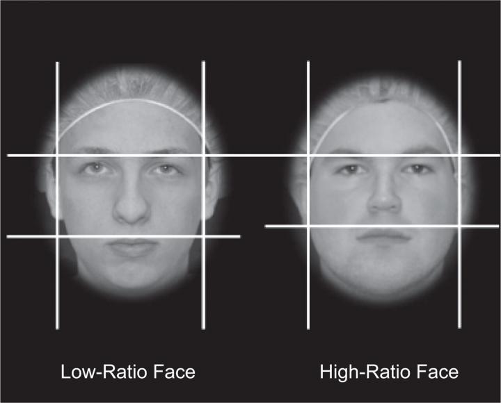 Facial structure predicts goals, fouls among | EurekAlert!