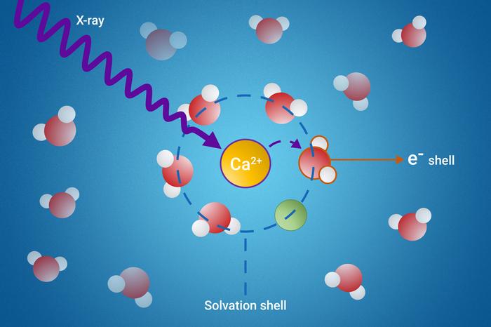 Hidden World of Solvation Shel [IMAGE] | EurekAlert! Science News Releases