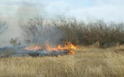 Fire Burning in a Dry Field [IMAGE] | EurekAlert! Science News Releases