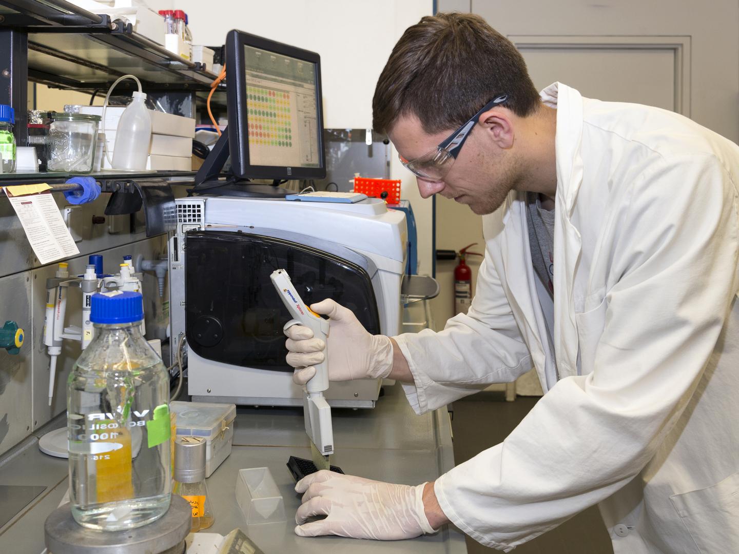 Nile Red Assay [IMAGE] | EurekAlert! Science News Releases