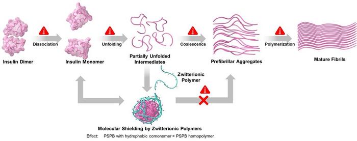 Schematic representation of mo [IMAGE] | EurekAlert! Science News Releases