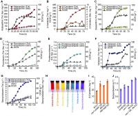 Microbial production of natural rainbow color | EurekAlert!