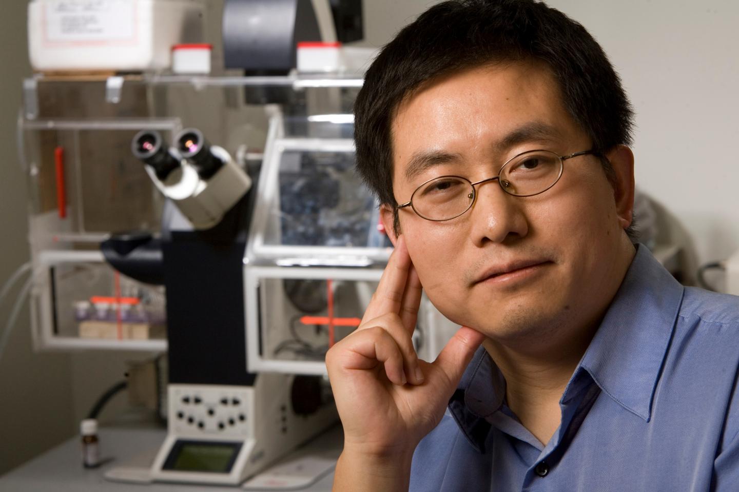 Lingchong You, Duke University [IMAGE] | EurekAlert! Science News Releases