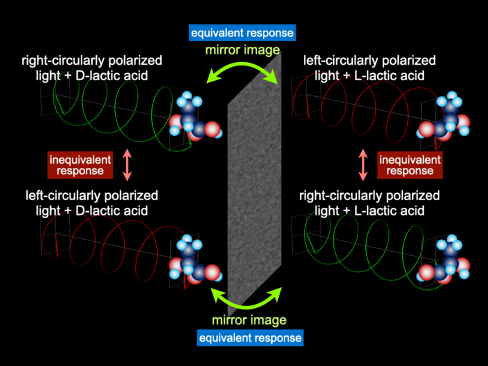 Responses of chiral materials [IMAGE] | EurekAlert! Science News Releases