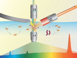 BIGTUNA bioimaging tool helps researchers see | EurekAlert!