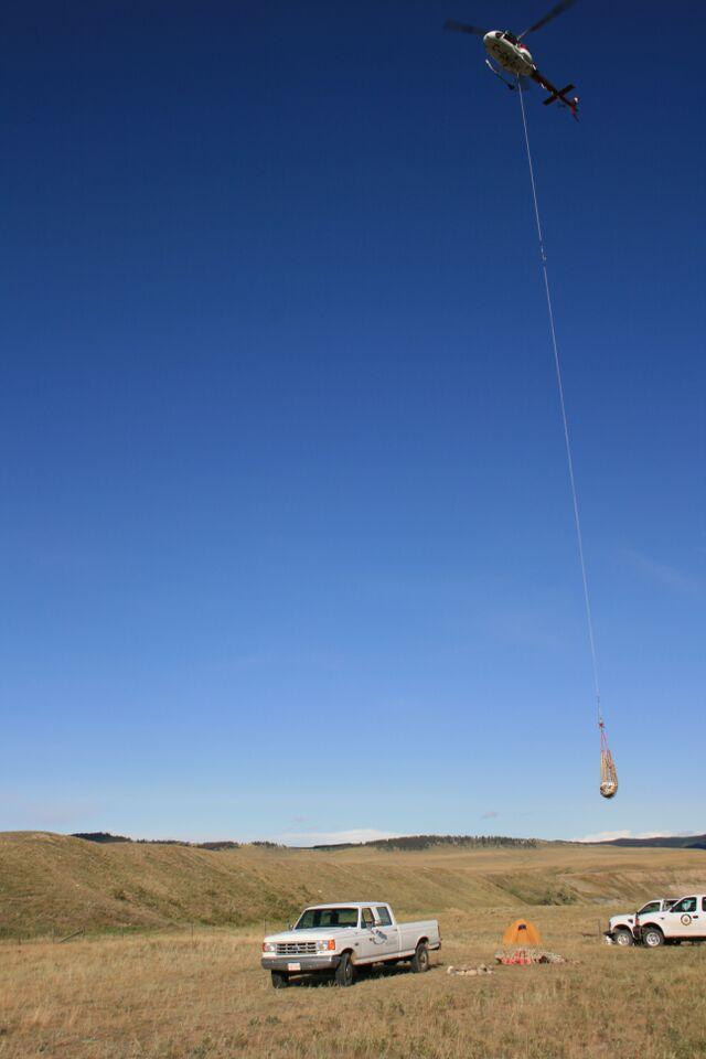 Helicopter Lift of Skull [IMAGE] | EurekAlert! Science News Releases