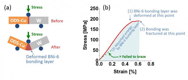 Establishing an advanced bonding technique fo | EurekAlert!