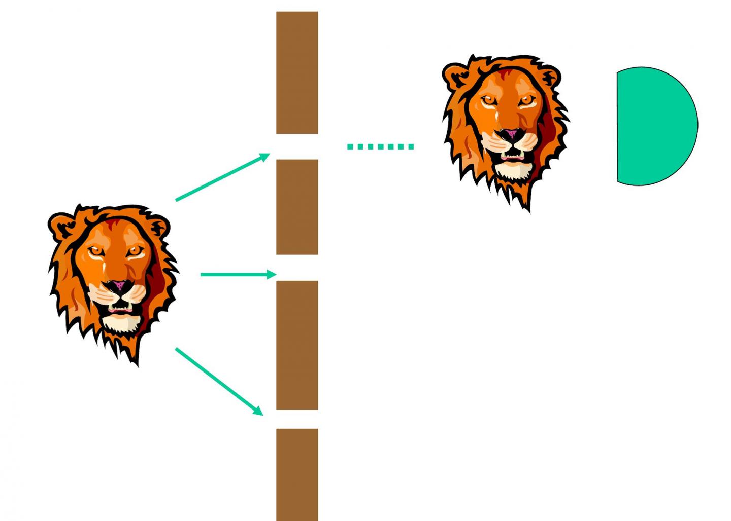 Fig.2. [IMAGE] | EurekAlert! Science News Releases